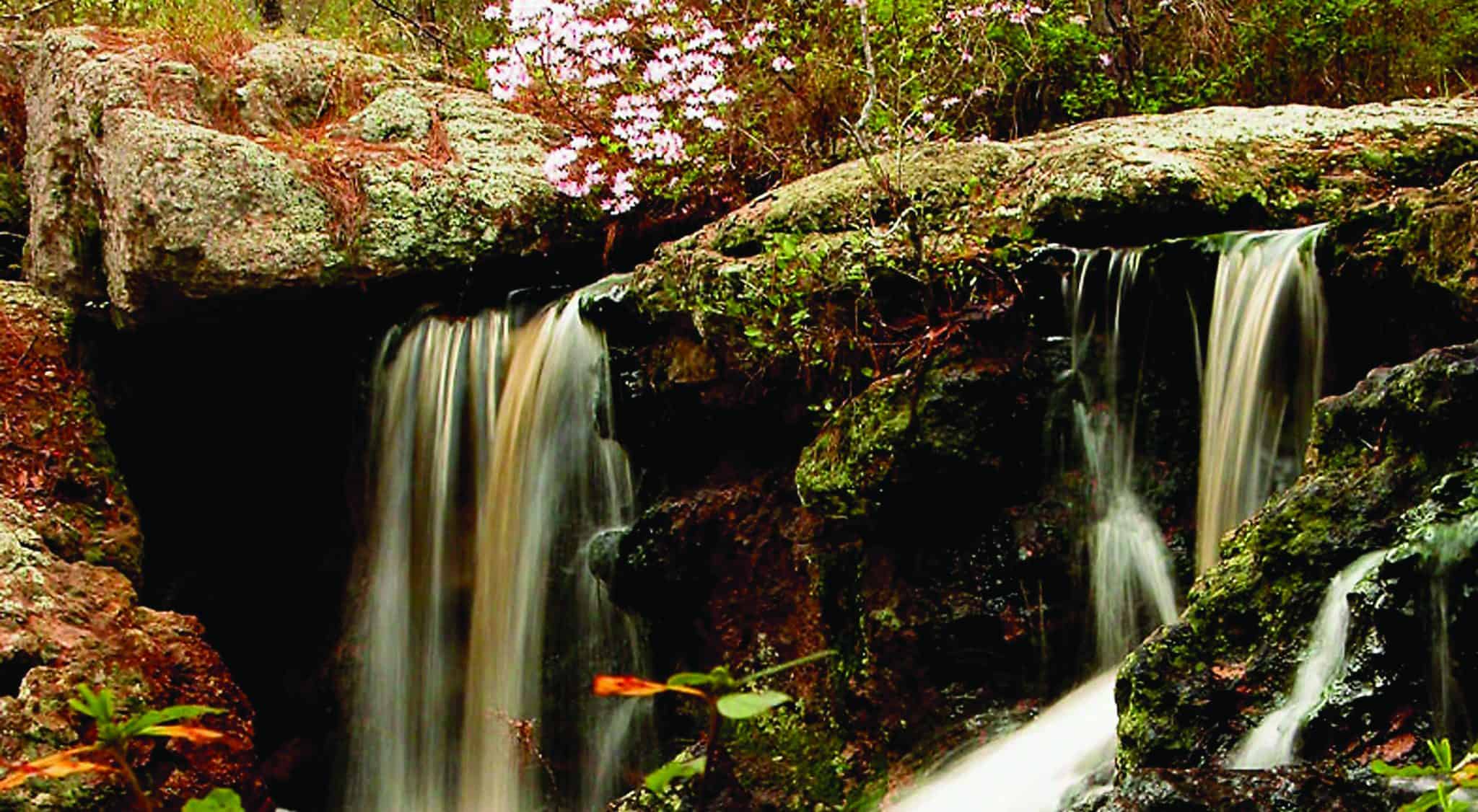 Four Georgia Escapes Where the Pavement Ends - First Coast Senior Living